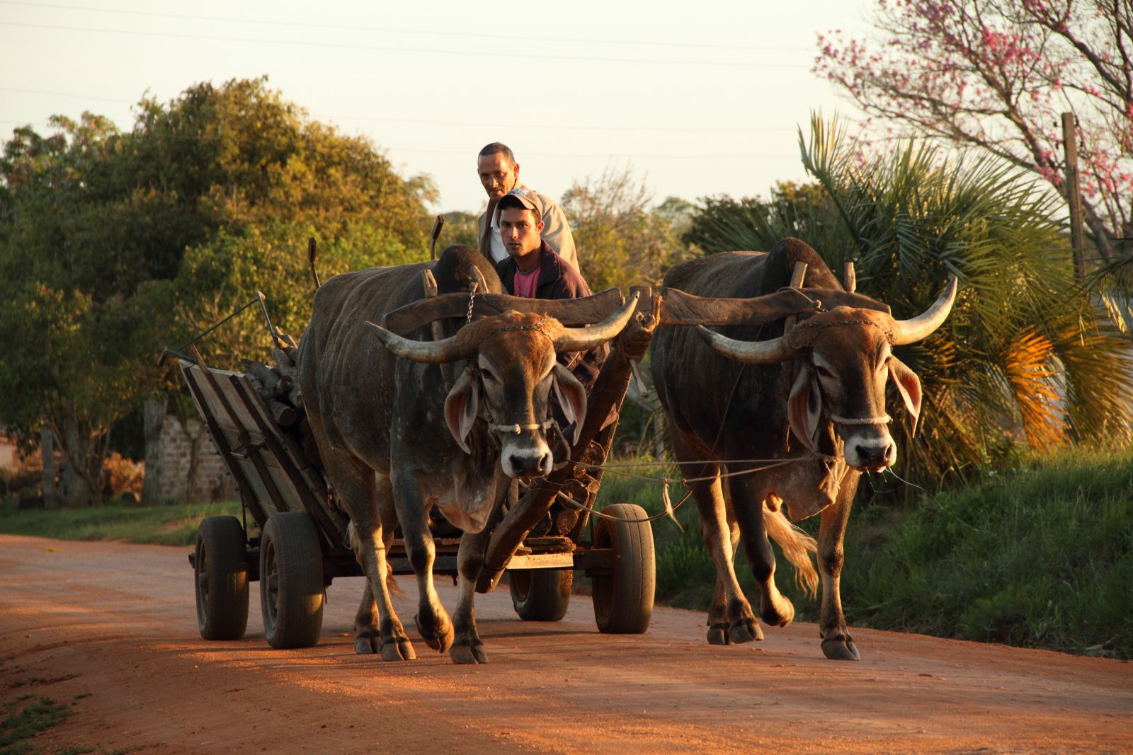 25 de Julho: uma data histórica para os colonos e os motoristas ...